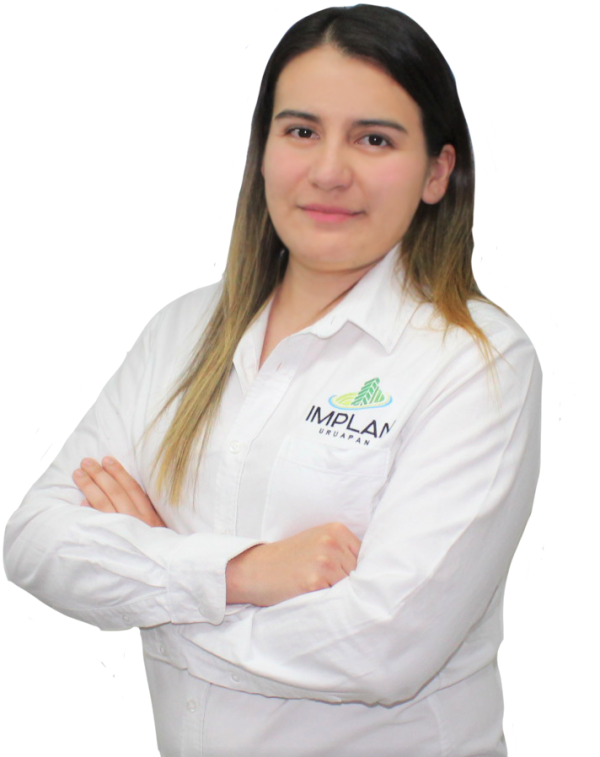 Equipo de Trabajo – IMPLAN